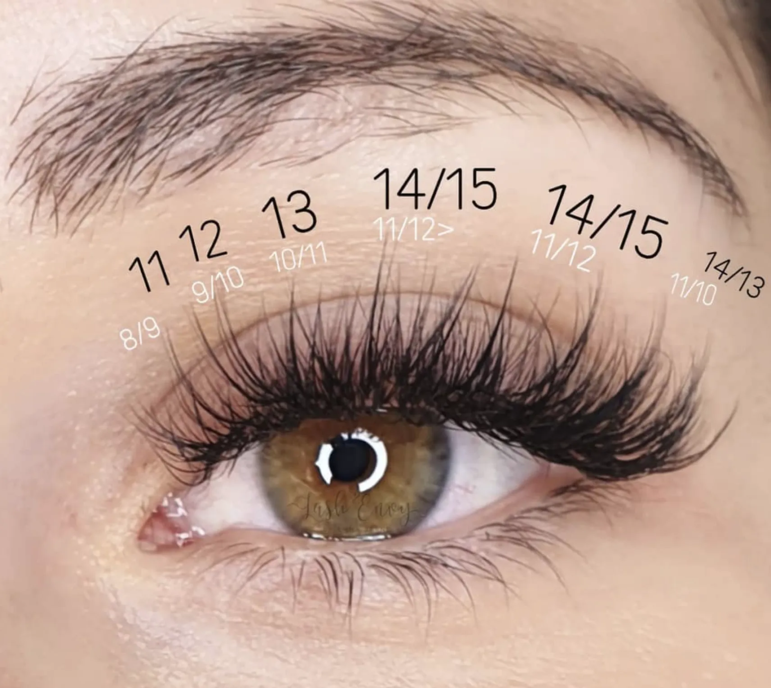 Wispy Lash Maps: The Complete Guide for Lash Artists